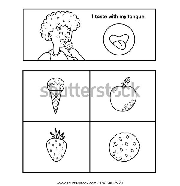 Five Senses Poster Taste Sense Presentation Stock Vector (Royalty Free ...