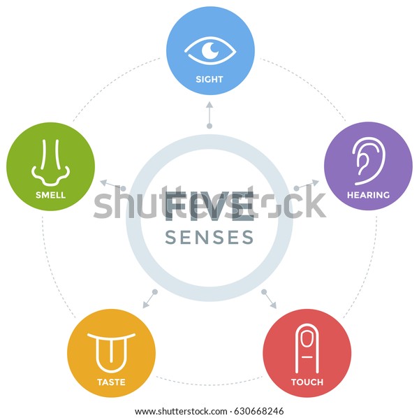 Five Senses Simple Line Icons Mind Stock Vector (Royalty Free) 630668246