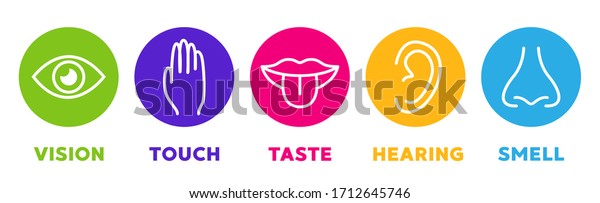 Five Senses Vector Icons Set Vision Stock Vector (Royalty Free ...