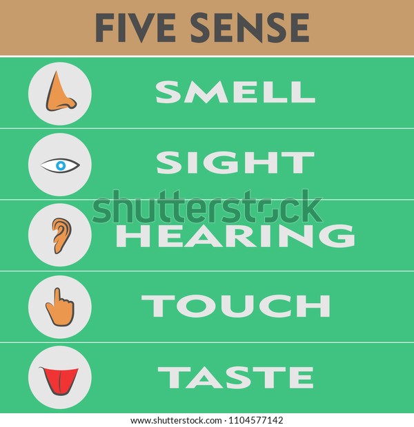 Five Senses Vector Illustration 스톡 벡터(로열티 프리) 1104577142 | Shutterstock