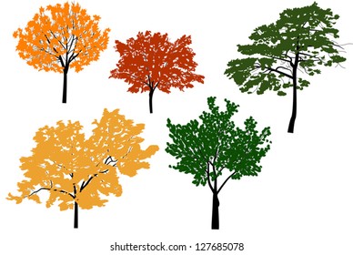 Five Trees Isolated On White Background Stock Vector (Royalty Free ...