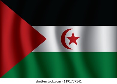 Flag Western Sahara Western Sahara Icon Stock Vector (Royalty Free ...