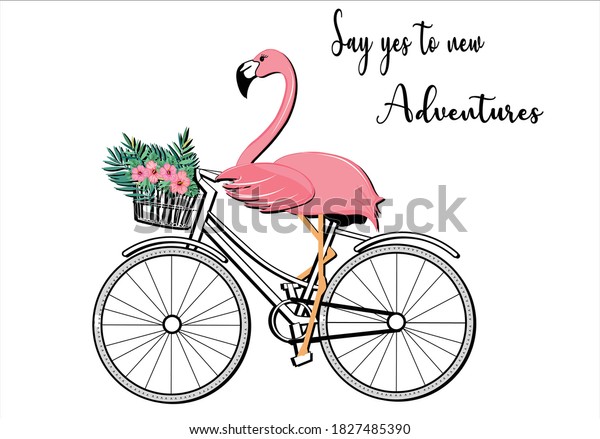 Flamingo Bicycle Hand Drawn Vector Say Stock Vector (Royalty Free ...