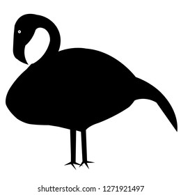 26 Tui bird Stock Vectors, Images & Vector Art | Shutterstock