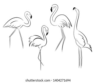 Flamingo outline Images, Stock Photos & Vectors | Shutterstock