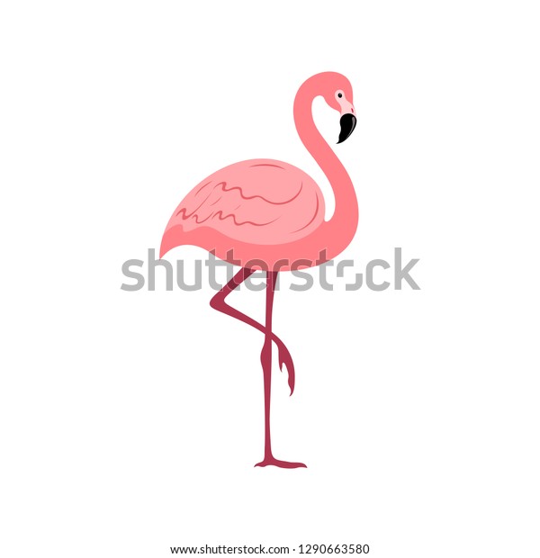 Flamingos Flat Style On White Background Stock Vector (Royalty Free ...