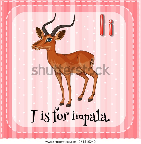 Flash Card Letter Impala Stock Vector (Royalty Free) 261515240 ...