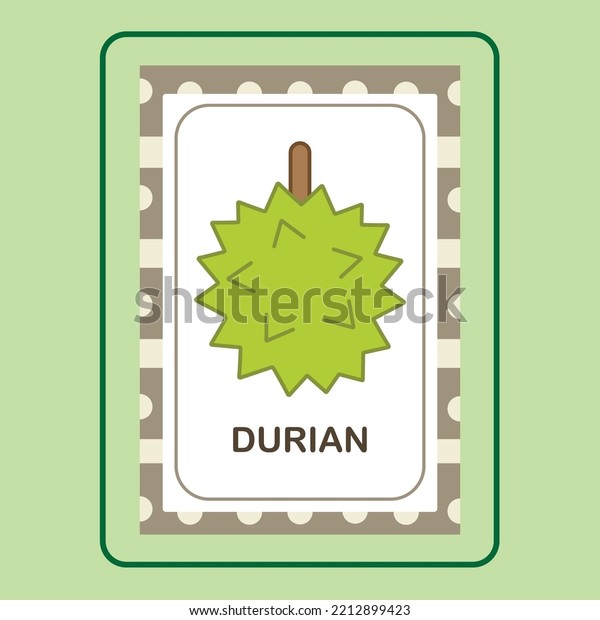 Flashcard Durian Vector Cartoon Cute Doodle Stock Vector (Royalty Free ...