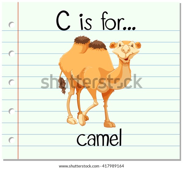 Flashcard Letter C Camel Illustration Stock Vector (Royalty Free ...