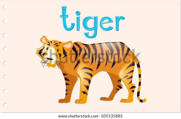 Flashcard Tiger Word Illustration Stock Vector (Royalty Free) 505135885 ...