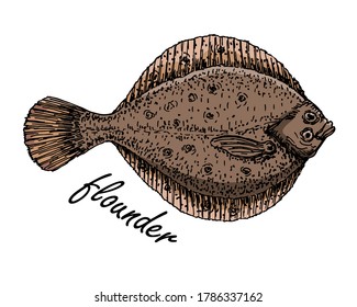 Flatfish Stock Illustrations, Images & Vectors | Shutterstock