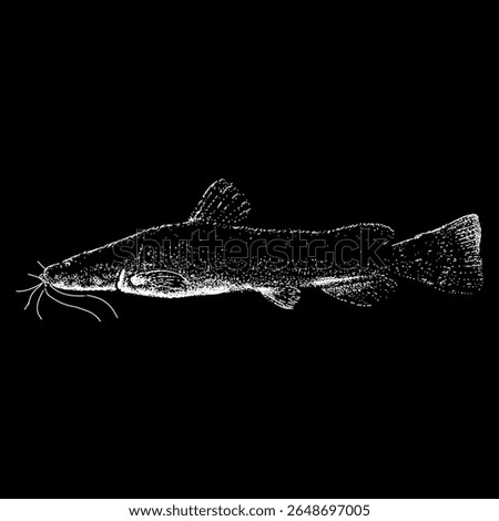 Flathead Catfish Drawing | Free download on ClipArtMag