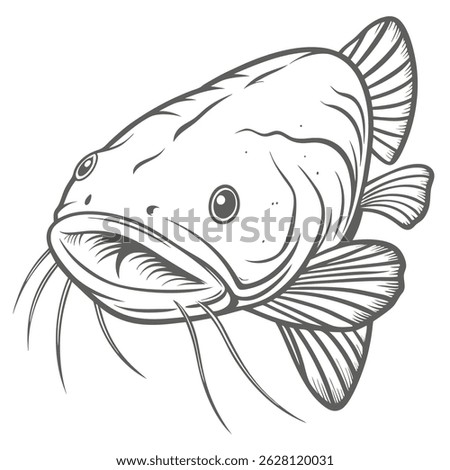 Flathead Catfish Drawing | Free download on ClipArtMag