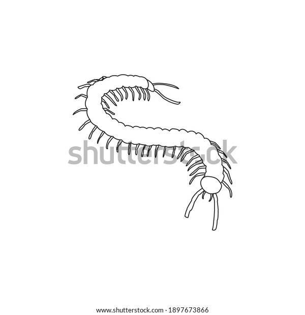 Vektor Stok Flaticon Animal Centipede Outline Vector Illustration ...