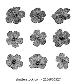 546 Linseed draw Images, Stock Photos & Vectors | Shutterstock