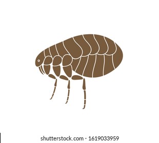 Flea Logo Isolated Flea On White Stock Vector (Royalty Free) 1619033959 ...
