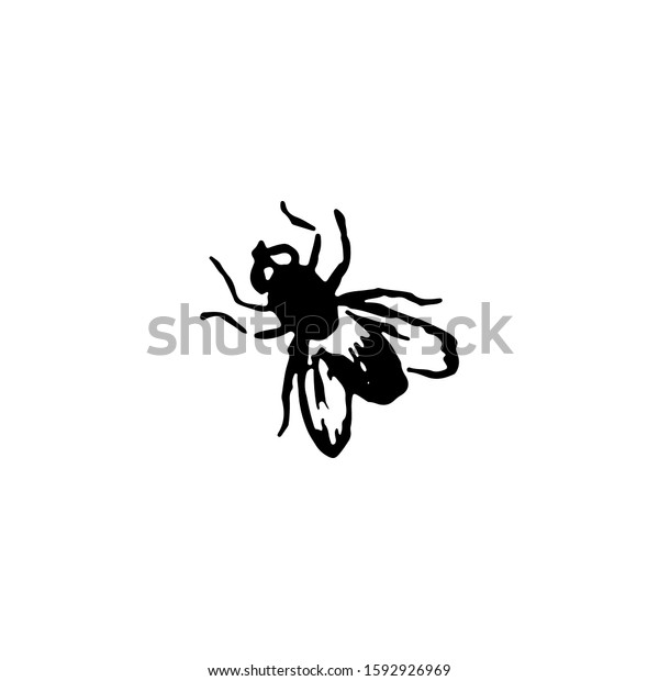 Flies Drawing Sketch Hand Drawn Design Stock Vector (Royalty Free ...