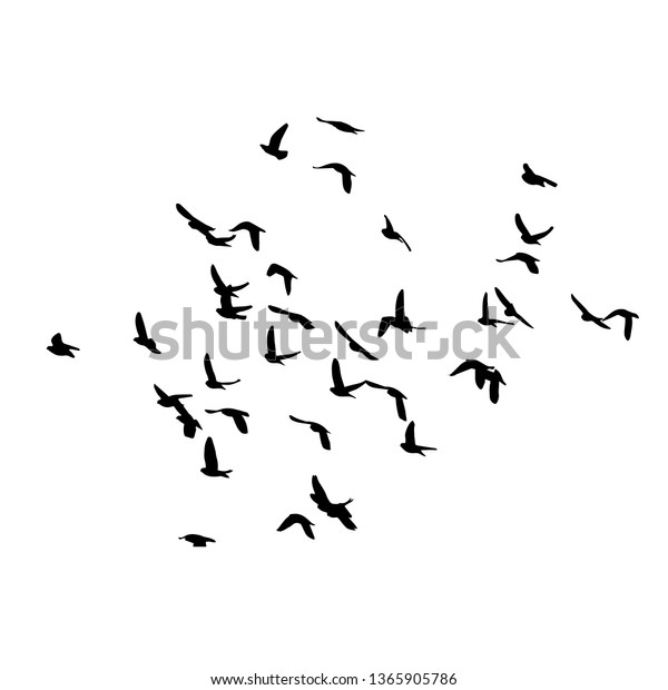 Flock Birds Sky Vector Illustration Stock Vector (Royalty Free ...