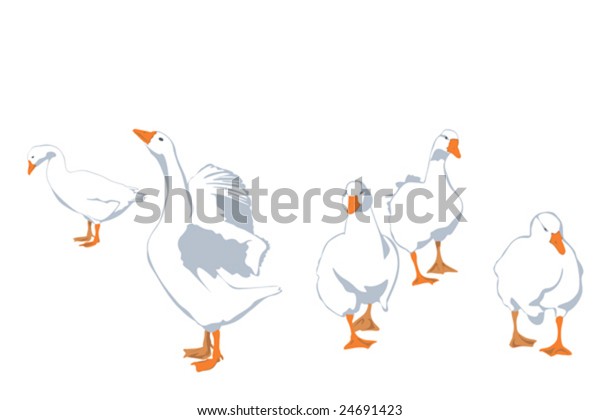 Flock Geese Stock Vector (Royalty Free) 24691423 | Shutterstock