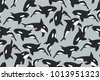 26+ Thousand Orca Royalty-Free Images, Stock Photos & Pictures ...