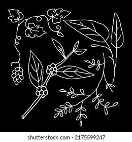 Flora Drawing Outline Handdrawn Vector Illustration Stock Vector ...