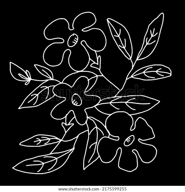 Flora Drawing Outline Handdrawn Vector Illustration Stock Vector ...
