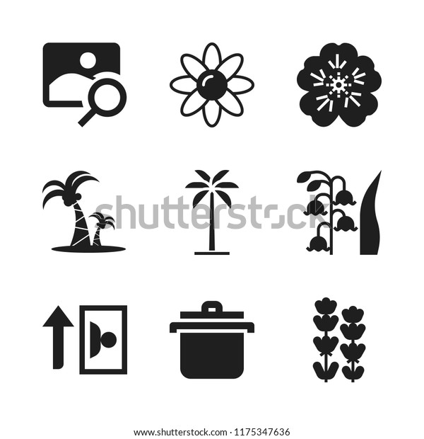 Flora Icon 9 Flora Vector Icons Stock Vector (Royalty Free) 1175347636 ...