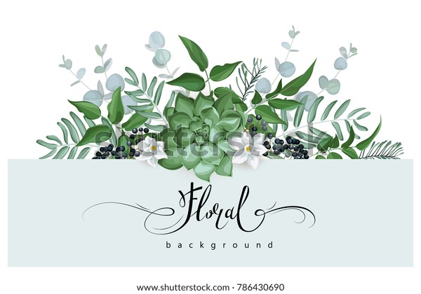 Floral Background Succulent Stock Vector (Royalty Free) 786430690