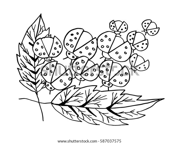 Floral Lady Bug Hand Drawing Illustration Stock Vector (Royalty Free ...