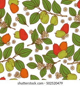 520 Zizyphus leaf Images, Stock Photos & Vectors | Shutterstock