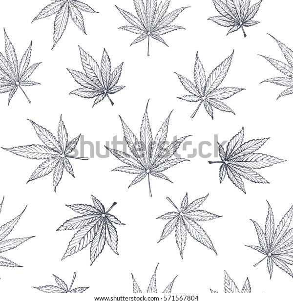 Floral Seamless Pattern Marijuana Cannabis Leaves Stock Vector (Royalty ...