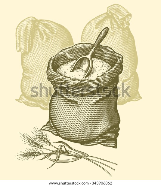 Flour Hand Drawn Engraving Vector Vintage Stock Vector (Royalty Free ...