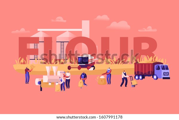 Flour Producing Concept Wheat Manufacture Process Stock Vector (Royalty ...