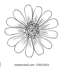15,548 Small flower line drawing Images, Stock Photos & Vectors ...