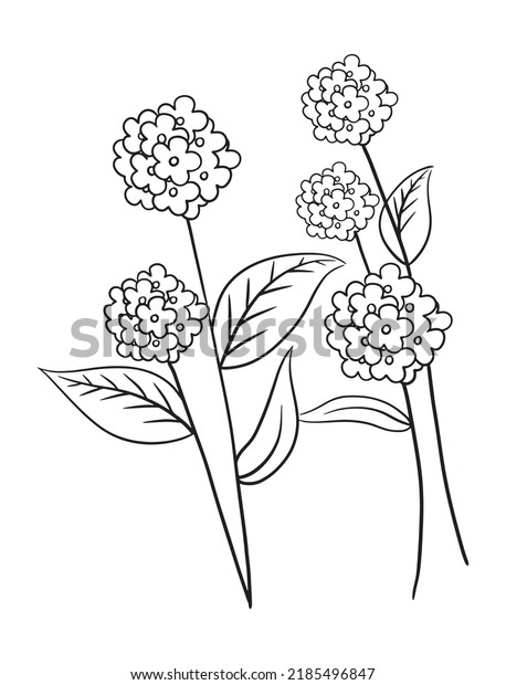 Flower Coloring Page Line Art Vector Stock Vector (Royalty Free ...