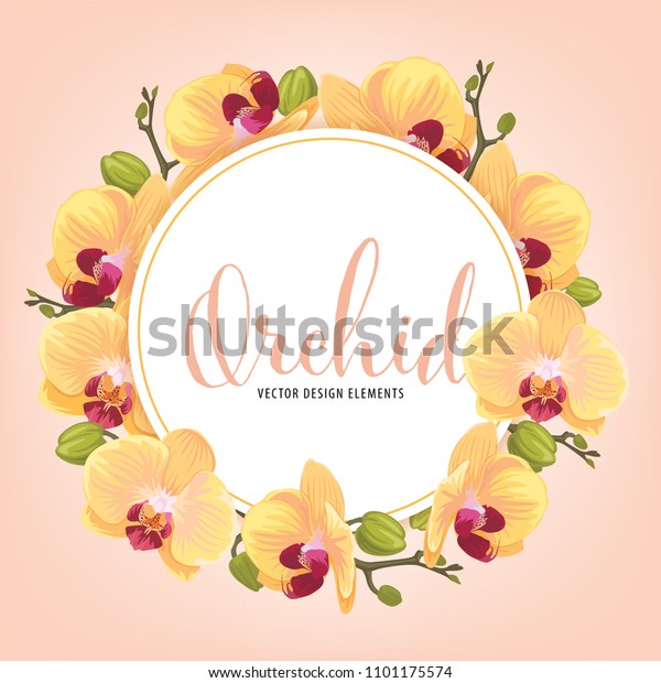 Flower Frame Yellow Orchid Background Vector 스톡 벡터(로열티 프리) 1101175574