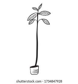 Continuous One Line Drawing Tree Growing: เวกเตอร์สต็อก (ปลอดค่า ...