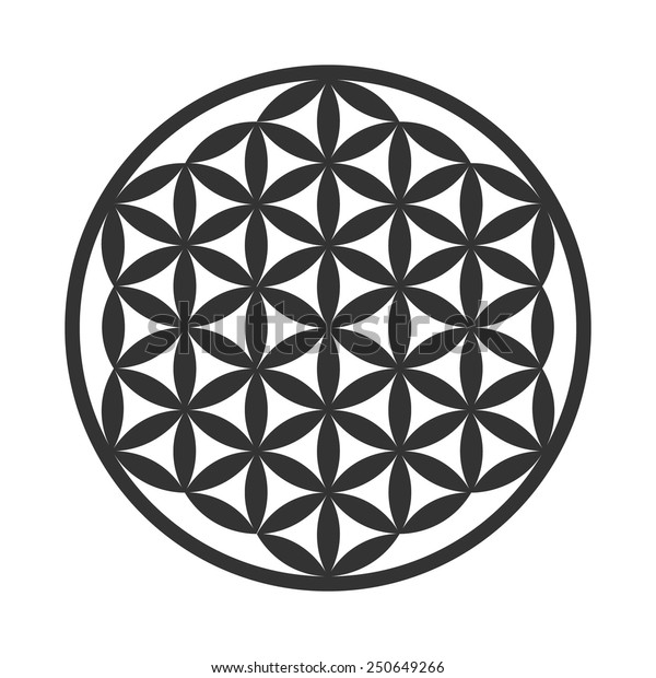 Flower Life Sacred Geometry Base Shape Stock Vector (Royalty Free ...