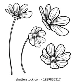 Flower Line Drawing Line Art Vector Stock Vector (Royalty Free ...
