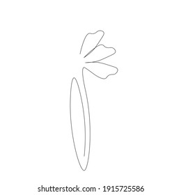 Flower On White Background Draw Vector Stock Vector (Royalty Free ...