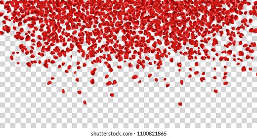 Vektor Stok Flower Petals Falling On Transparent Background (Tanpa ...