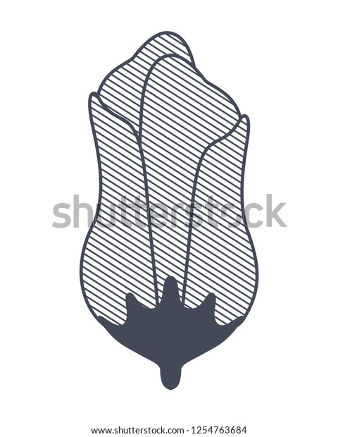 6,079 Rose Sepal Images, Stock Photos & Vectors | Shutterstock