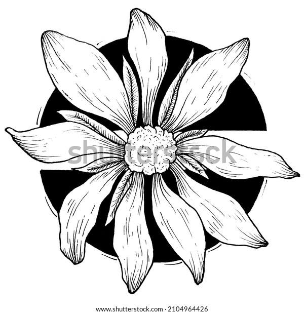 Flower Tattoo Template Vector Illustration Stock Vector (Royalty Free ...