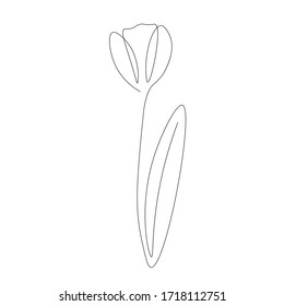 Flower One Line Drawing Vector Illustration Stock Vector (Royalty Free ...