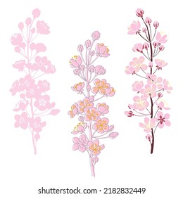 Flowering Branch Apricot Tree Vector Illustration Stock Vector (Royalty ...