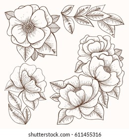 Flowers Hand Drawing Vector Set Design Stock Vector (Royalty Free ...