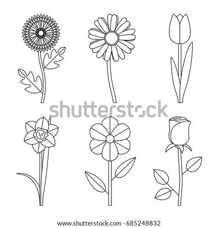 Flowers Line Drawings Vector Thin Illustration Stock Vector (Royalty ...
