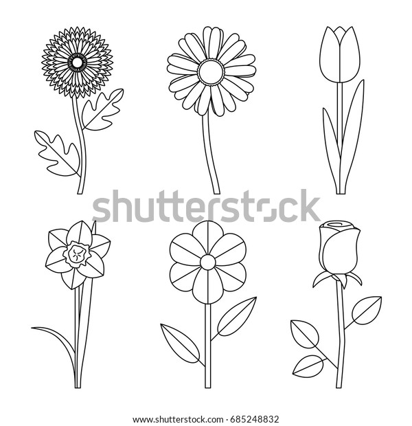 Flowers Line Drawings Vector Thin Illustration Stock Vector (Royalty ...