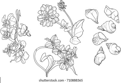 3,617 Dahlia flowers outline Images, Stock Photos & Vectors | Shutterstock