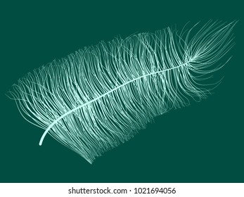 Fluff Beautiful Hand Drawn Feather Feather Stock Vector (Royalty Free ...